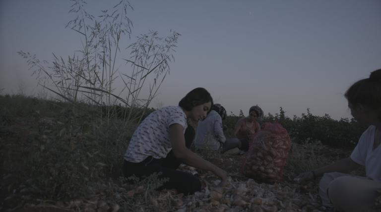 Jinwar | Women Make Movies